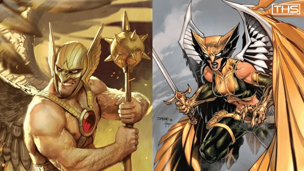 A Hawkman And Hawkgirl Spin-Off Movie Is In The Works - That Hashtag Show