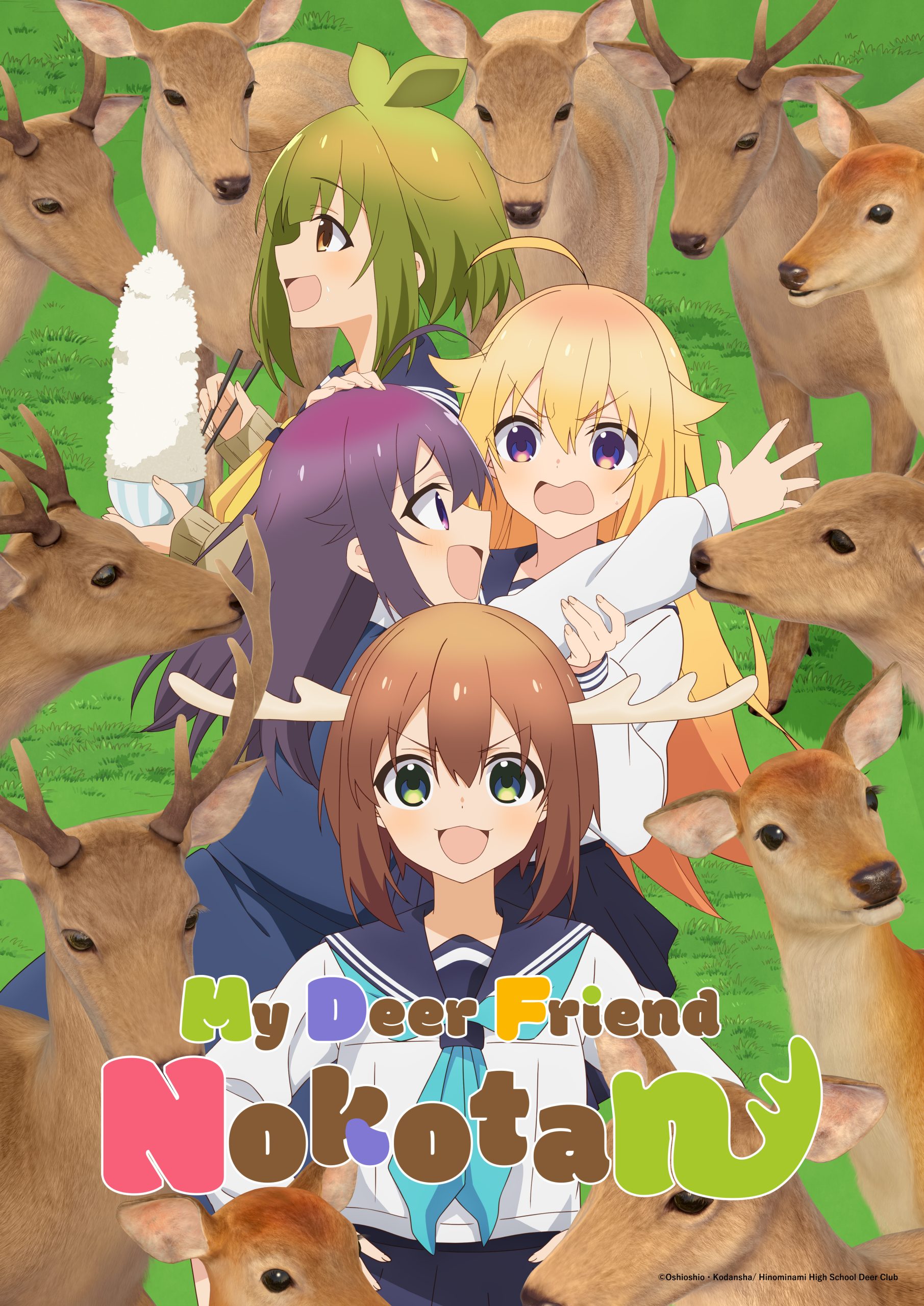 My Deer Friend Nokotan Ep. 1 "GIRL MEETS DEER": Oh Deer [Review] - That Hashtag Show