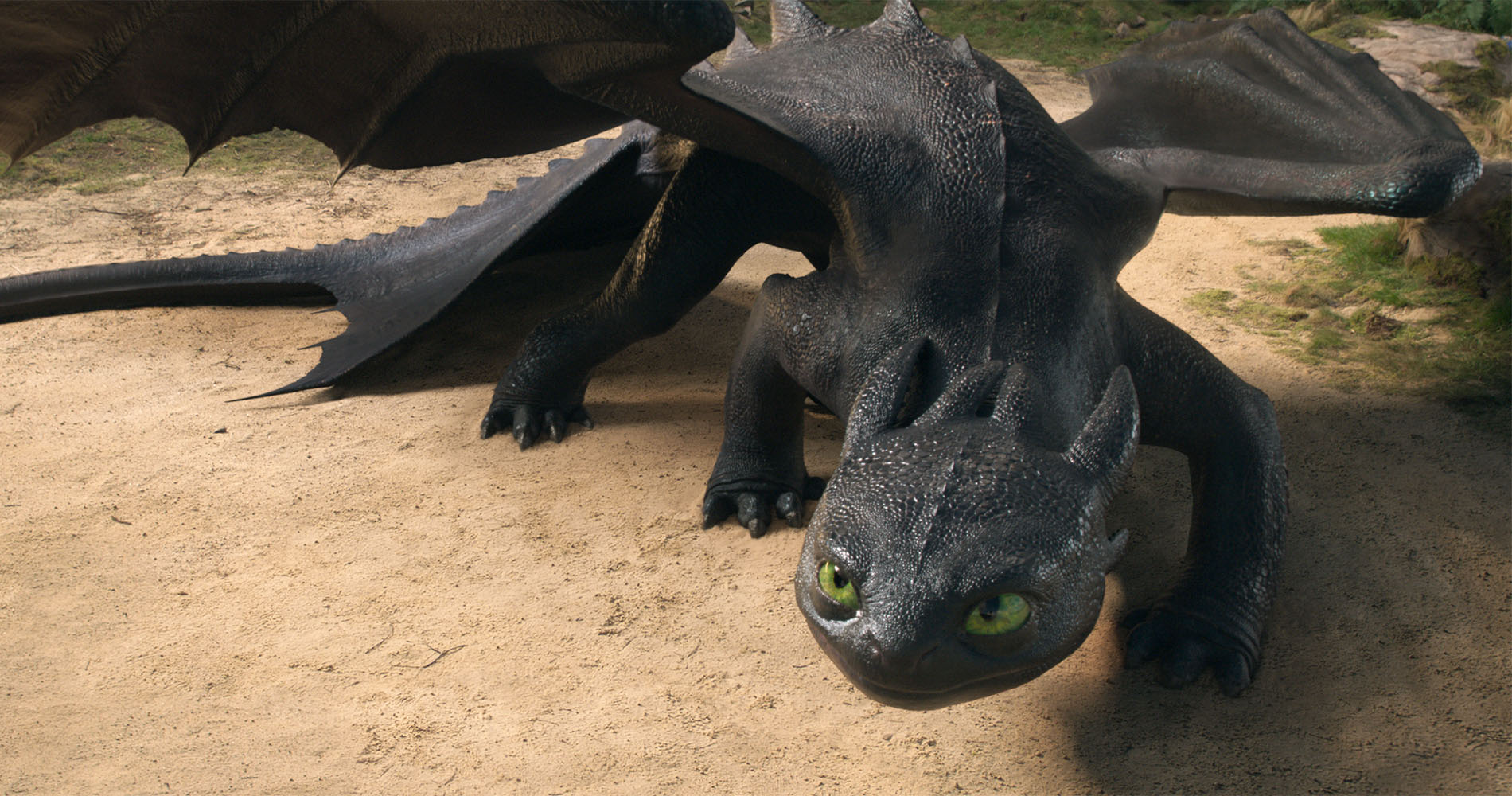 Ranking Every Live-Action Dragon in 'How to Train Your Dragon' - That ...